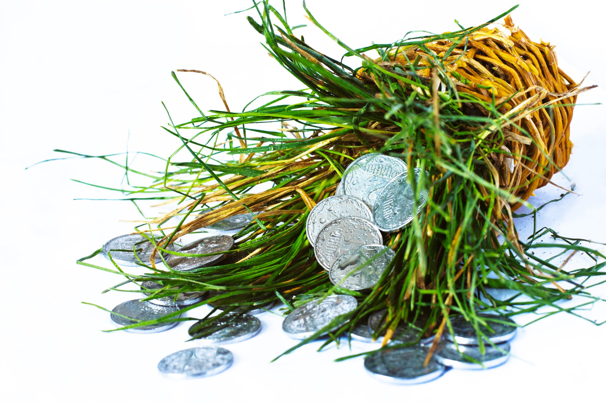 The Ultimate Guide to Australian Payroll Legislation