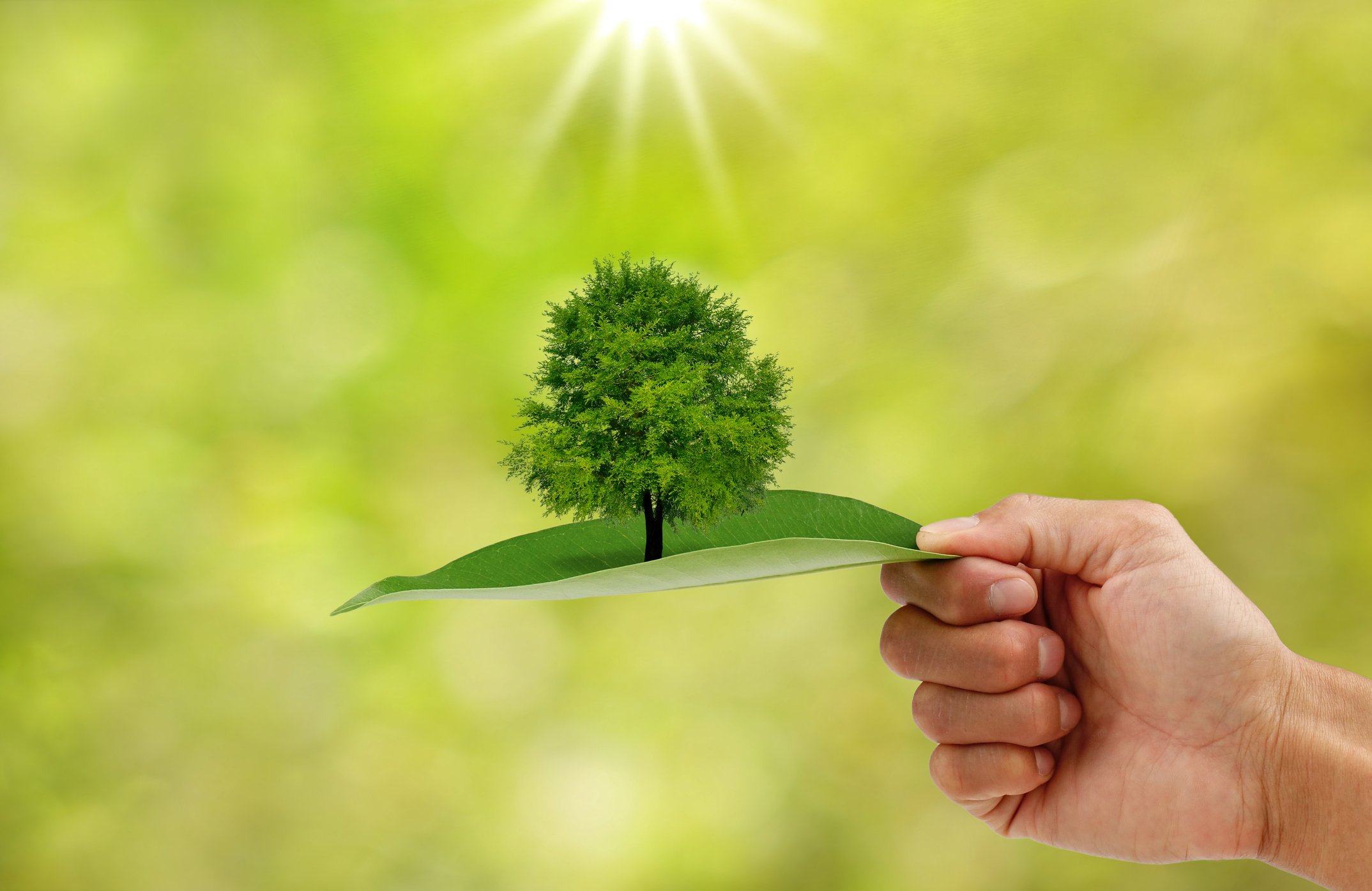 10 Performance Management Strategies for HR Success