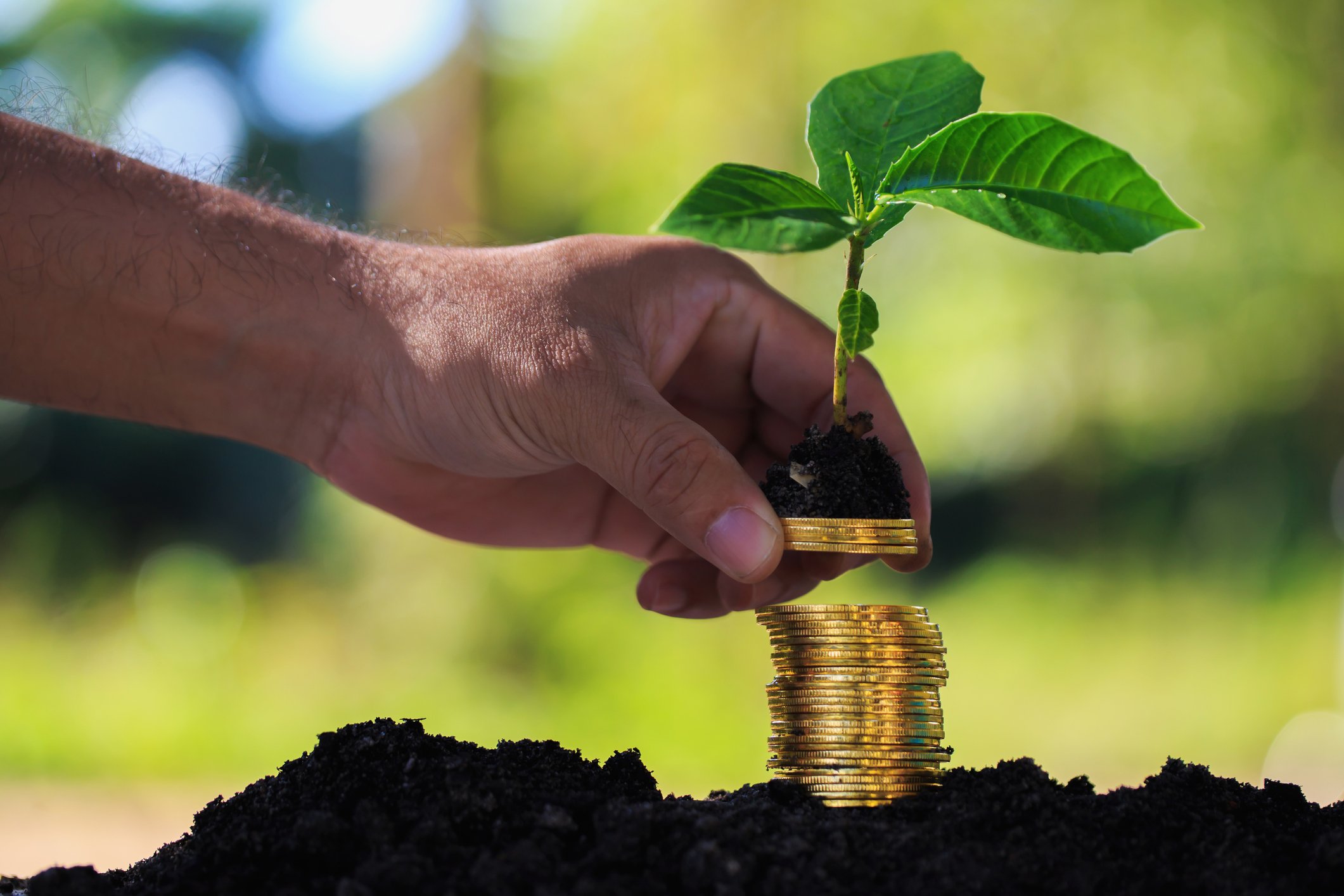 6 Tips to Improve Your Payroll Process
