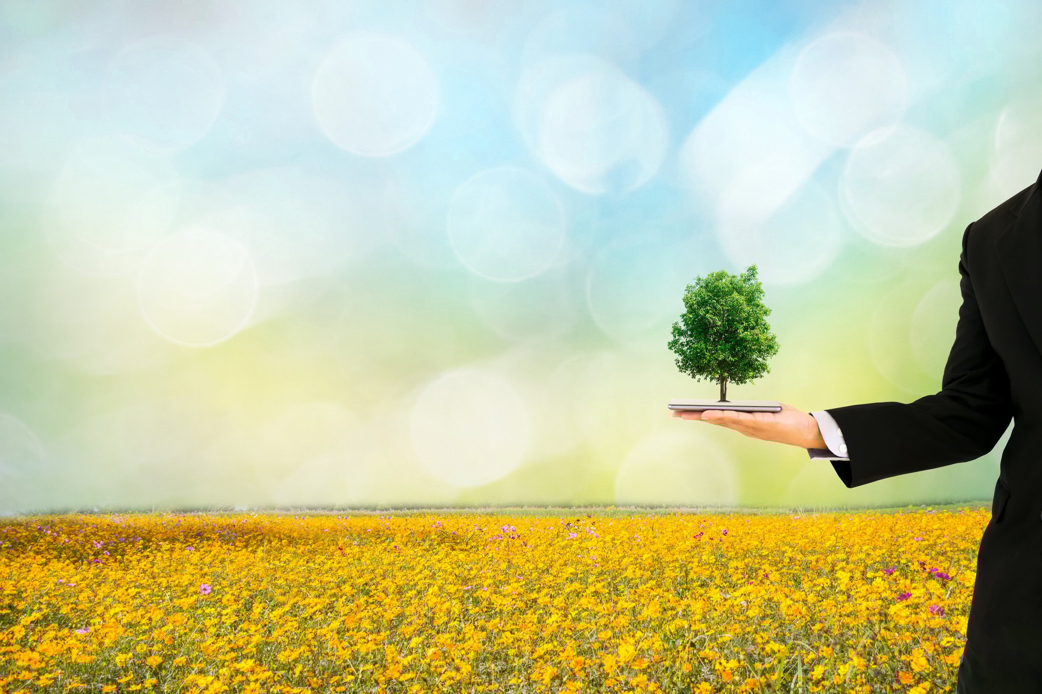 10 Performance Management Strategies for HR Success